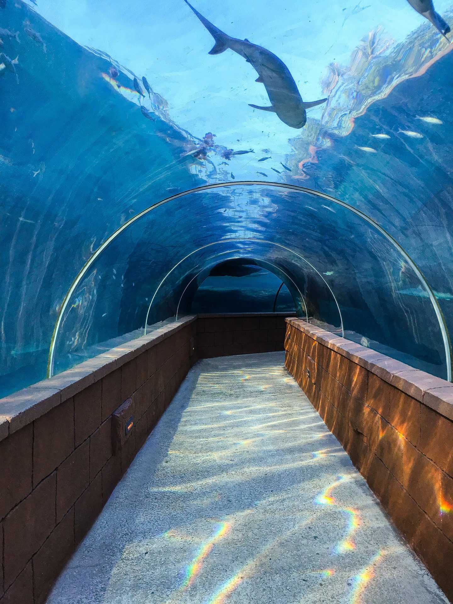 The Royal Towers at Atlantis | Hotel Review - Meko Valentino - Travel ...