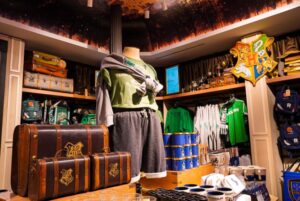 20+ Fun Things To Do At The Harry Potter Store New York