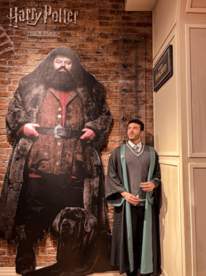 20+ Fun Things To Do At The Harry Potter Store New York