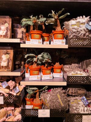 20+ Fun Things To Do At The Harry Potter Store New York